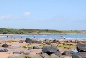 Craster, Howick Hall & beach circular walk