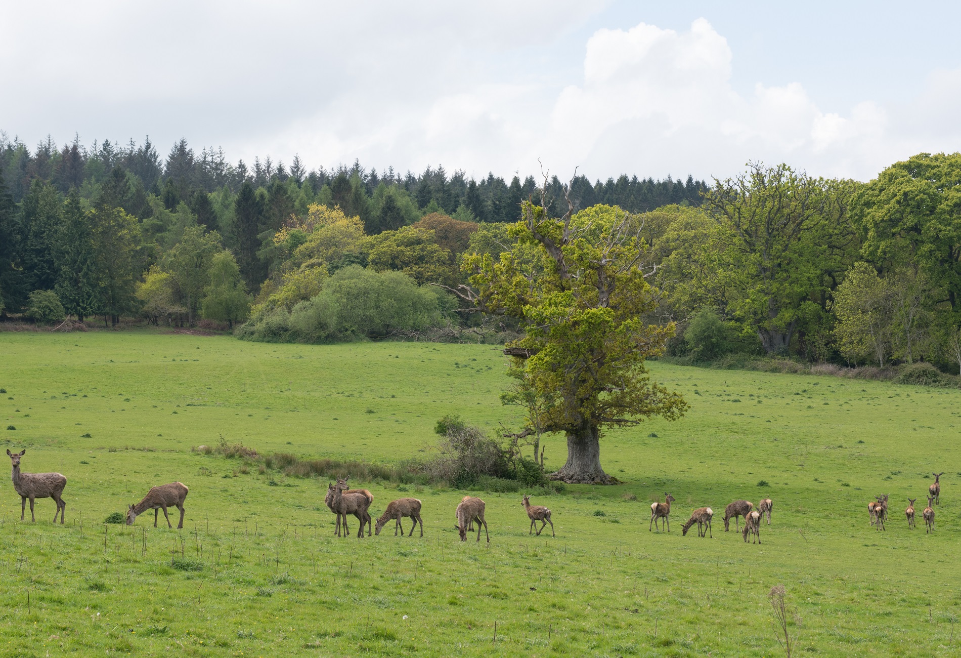 Exmoor National Park