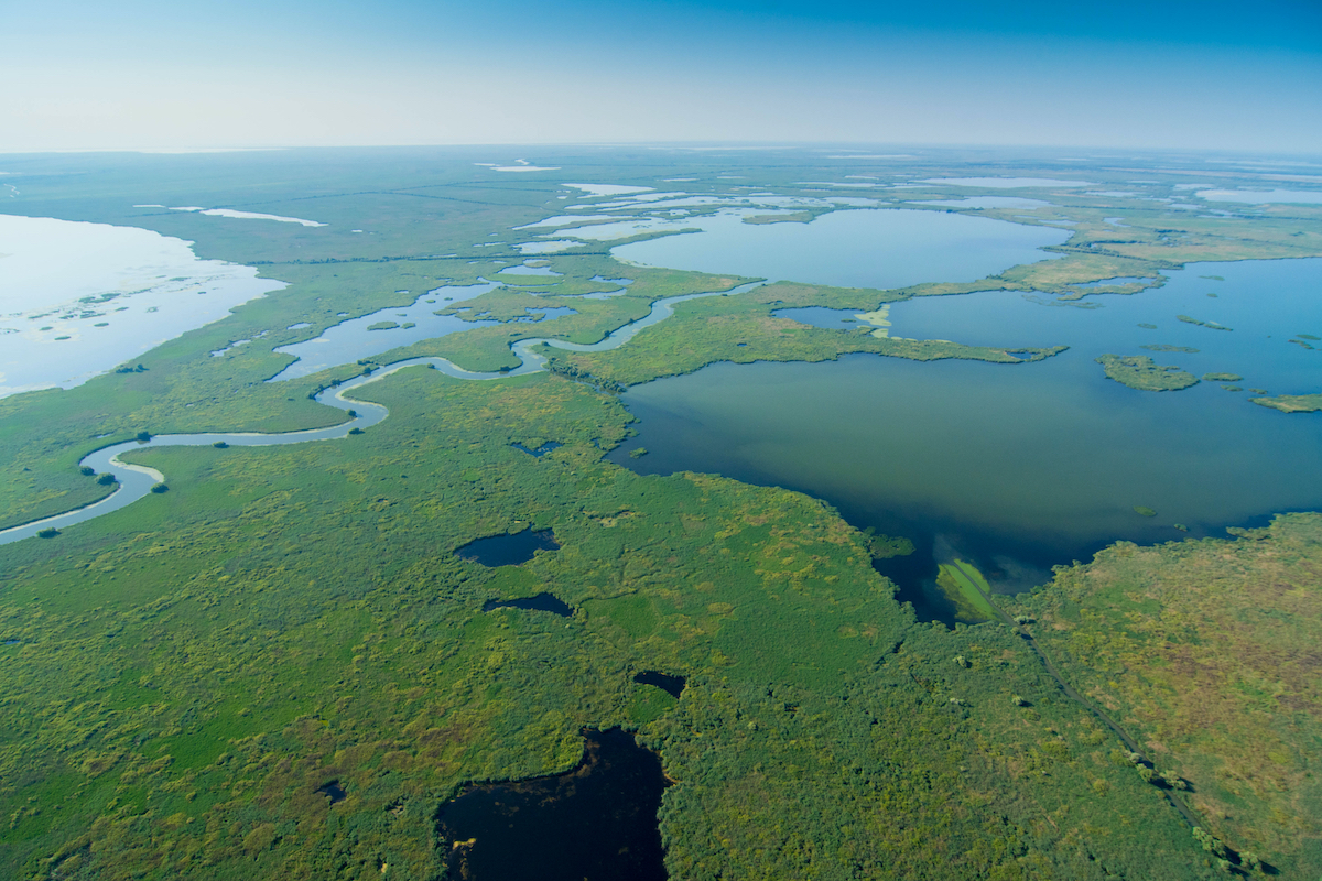 10 of the best wetlands in the world