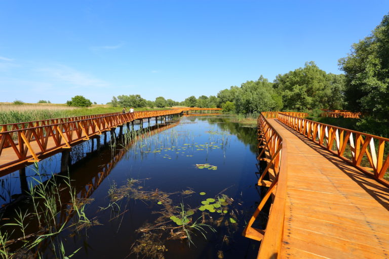 10 of the best wetlands in the world