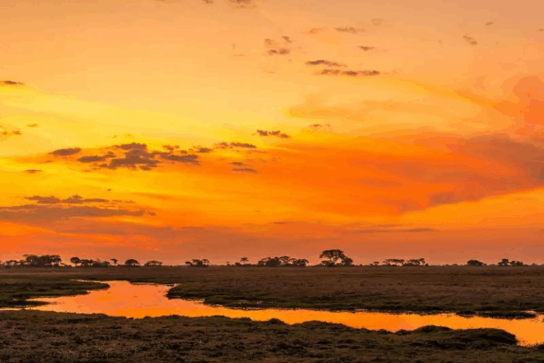 10 of the best wetlands in the world