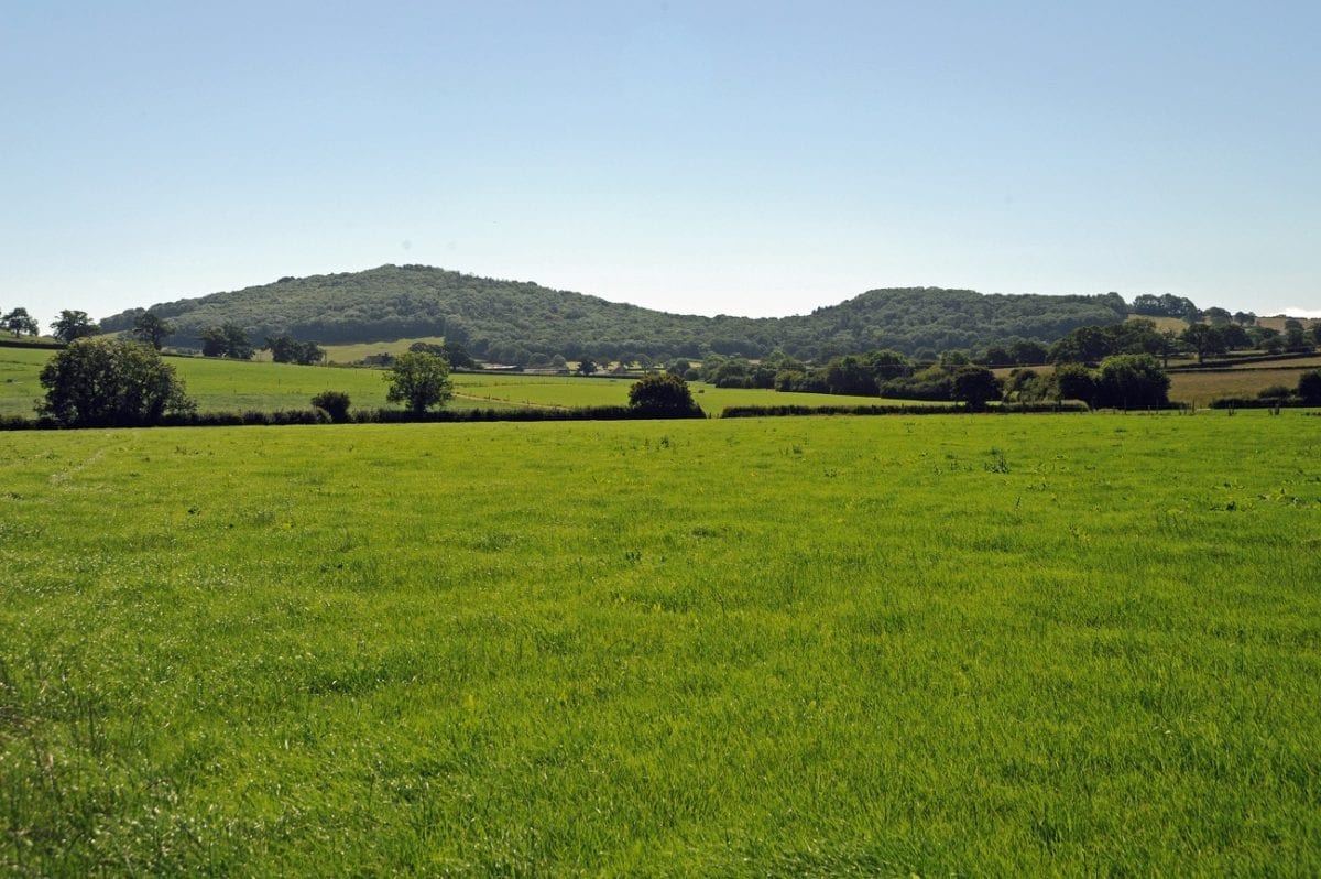 Exploring Blackmore Vale in Devon