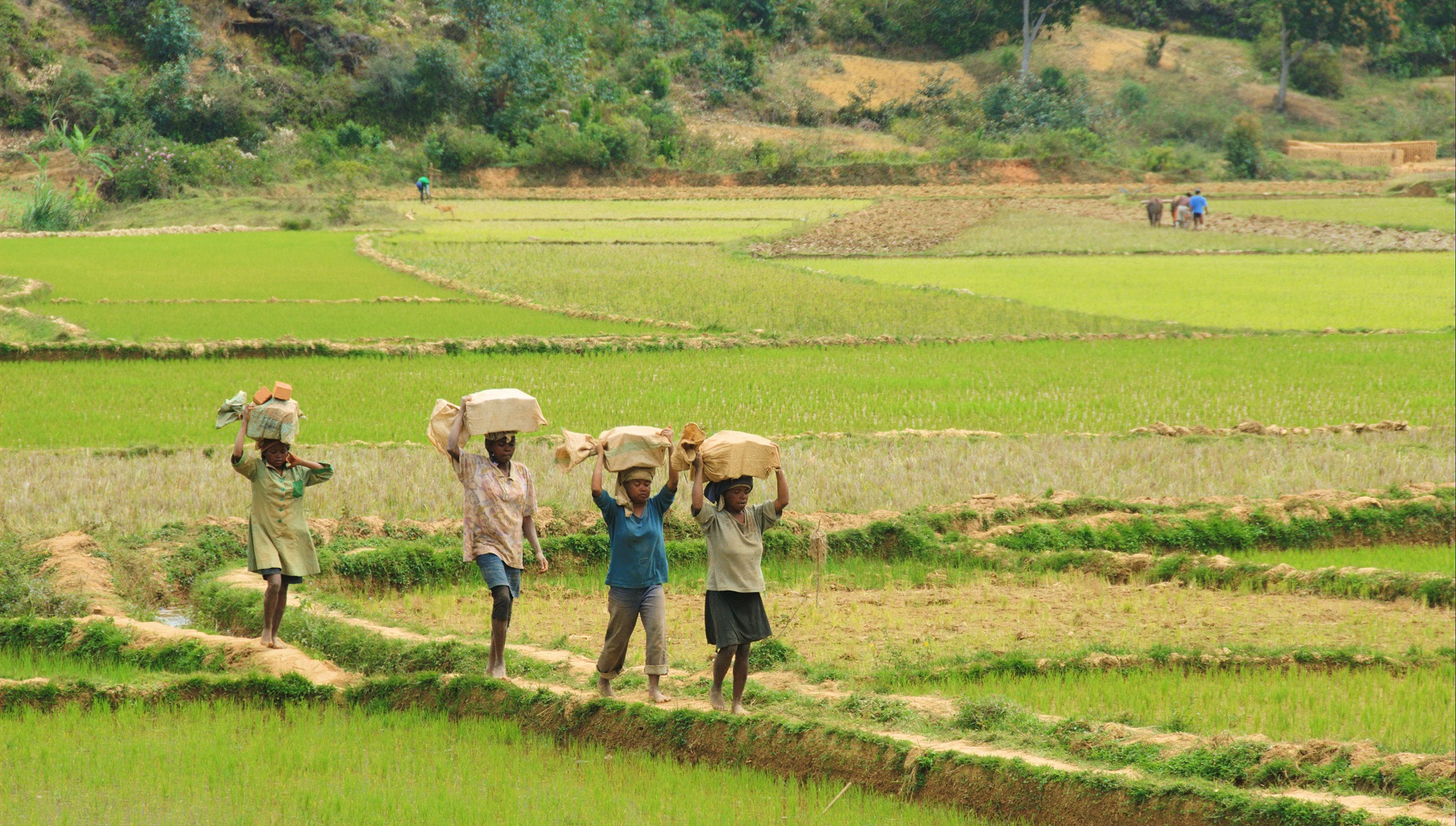 Madagascar Travel Guide and Information | Bradt Guides