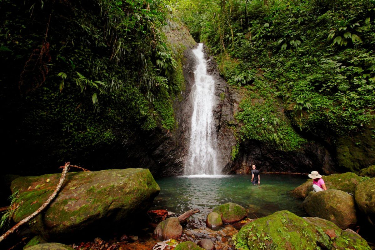 Hiking in Grenada: five great walks on the island