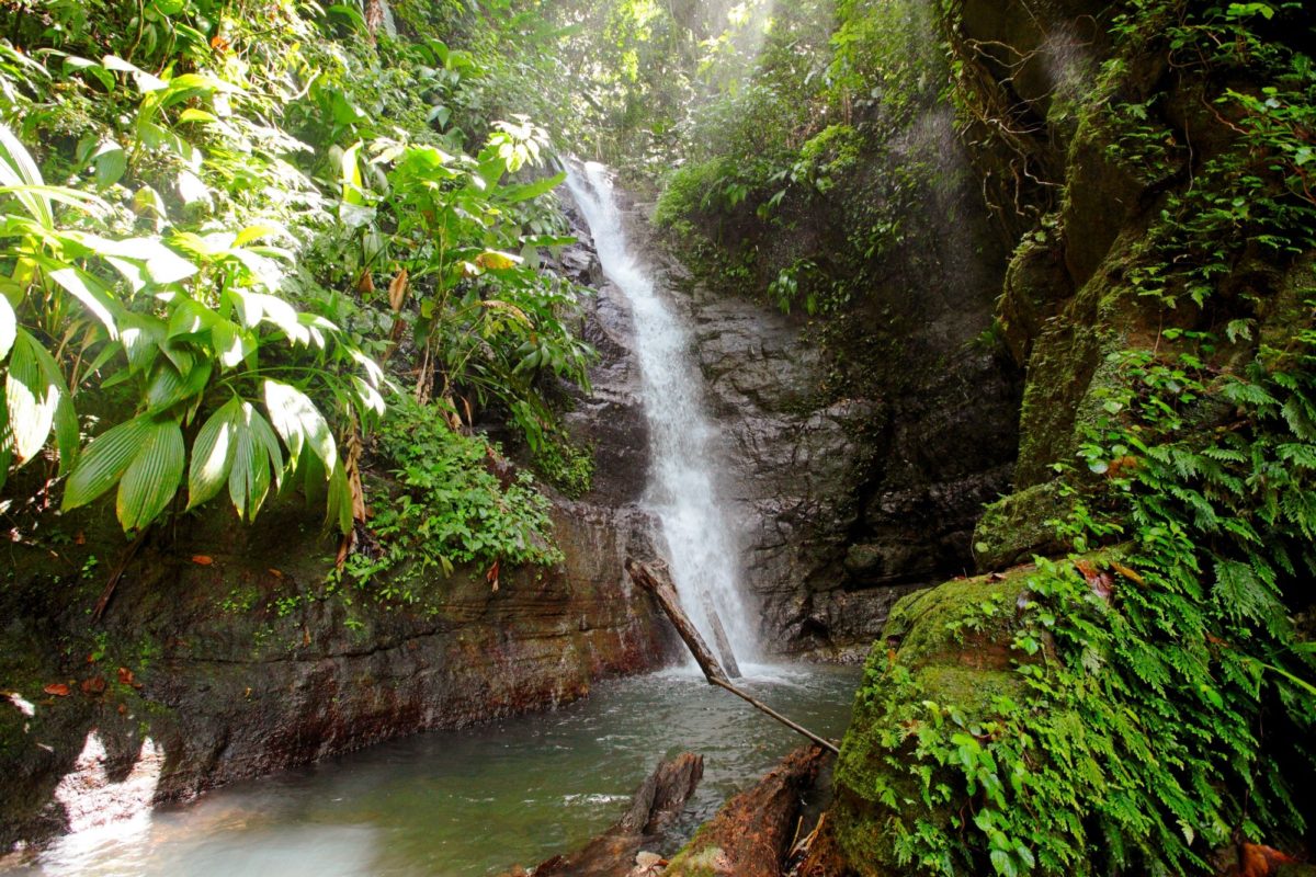 Hiking in Grenada: five great walks on the island