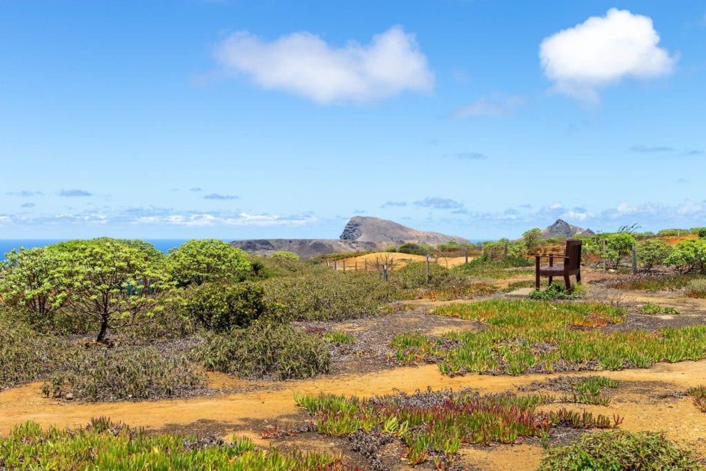 St Helena: The secret of the South Atlantic | Bradt Guides