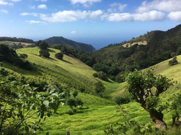 Mesmerising St Helena: The five best postbox walks on the island