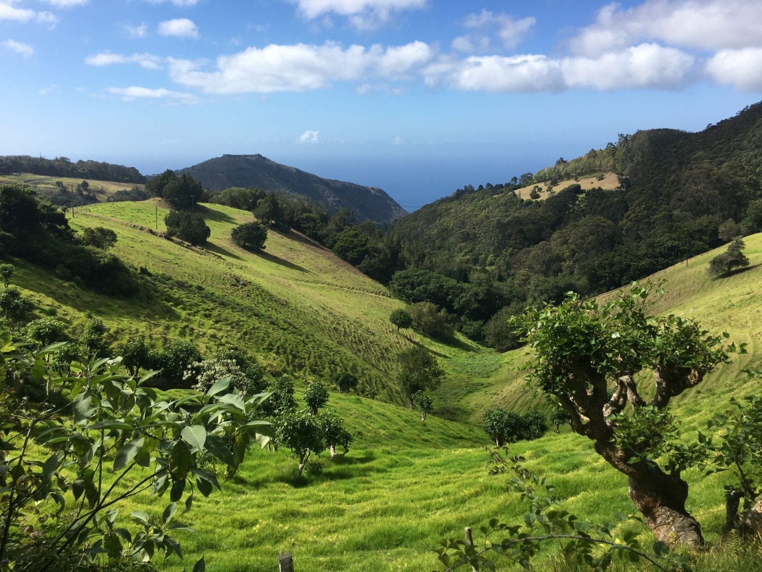 St Helena, Ascension and Tristan da Cunha Travel Information and Guide ...