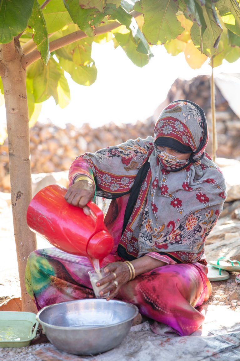 Impressions of Socotra: a photo story | Bradt Guides