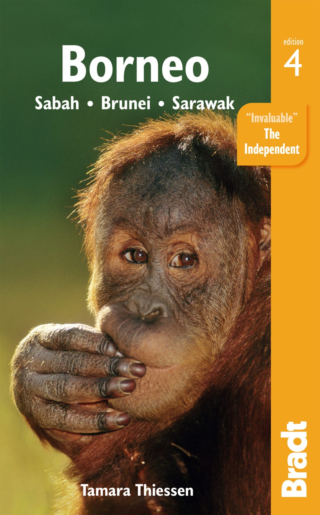 Brunei (Borneo) Travel Information and Guide | Bradt Guides
