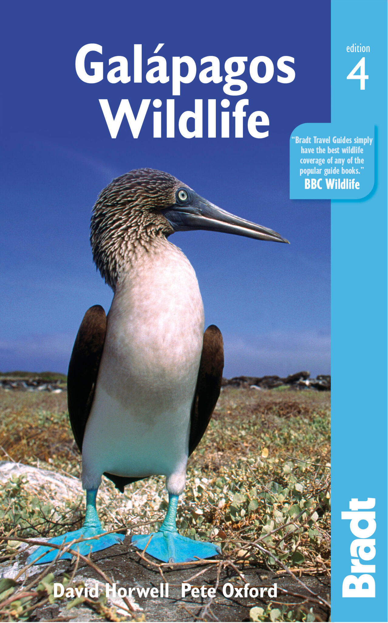 Galapagos Wildlife | Bradt Guides