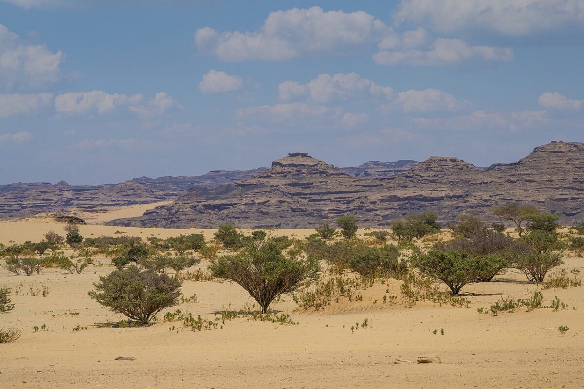 Which new sites have been added to the UNESCO World Heritage List? l ...
