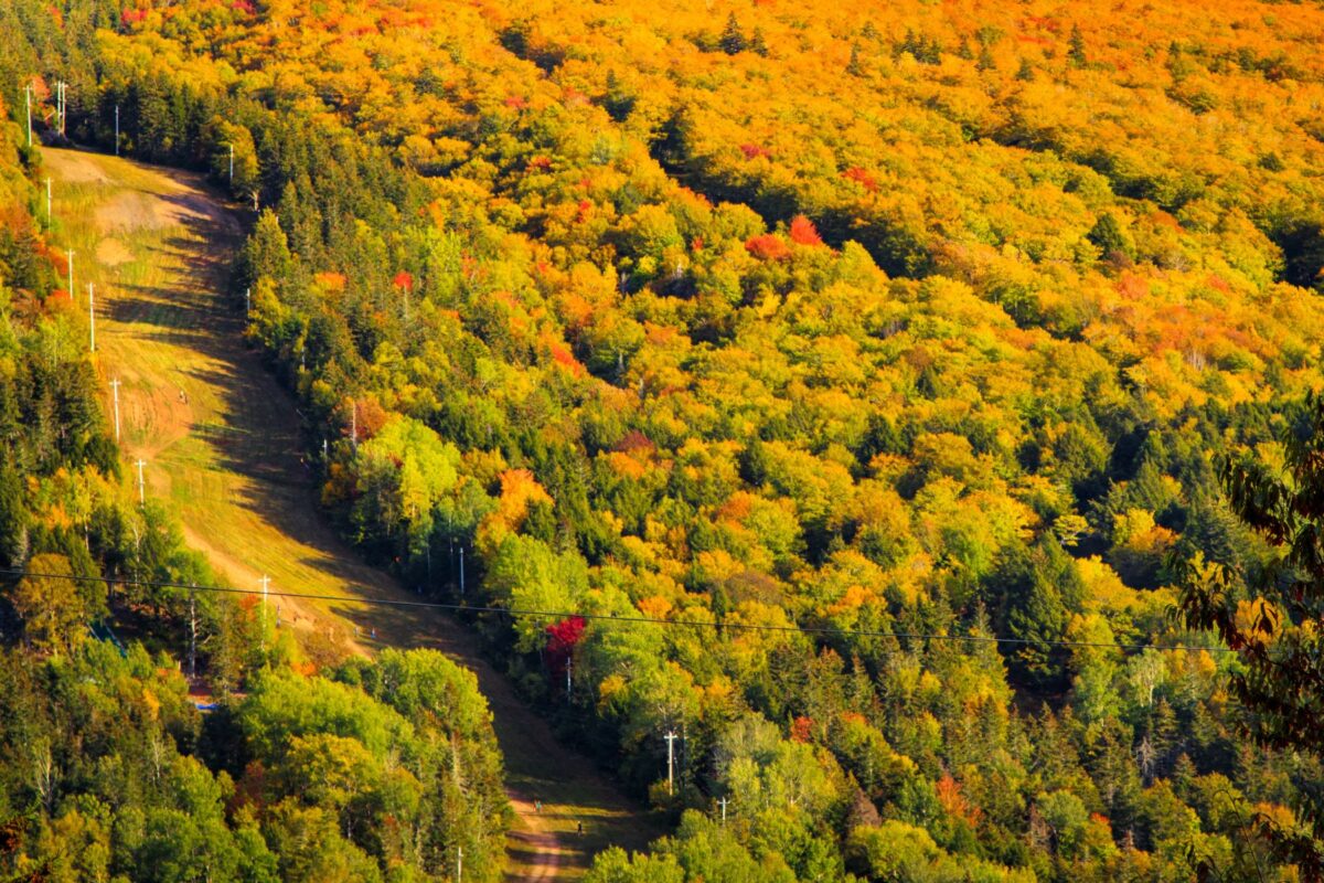 Autumn leaves: exploring Nova Scotia in 'leaf-peeping season'