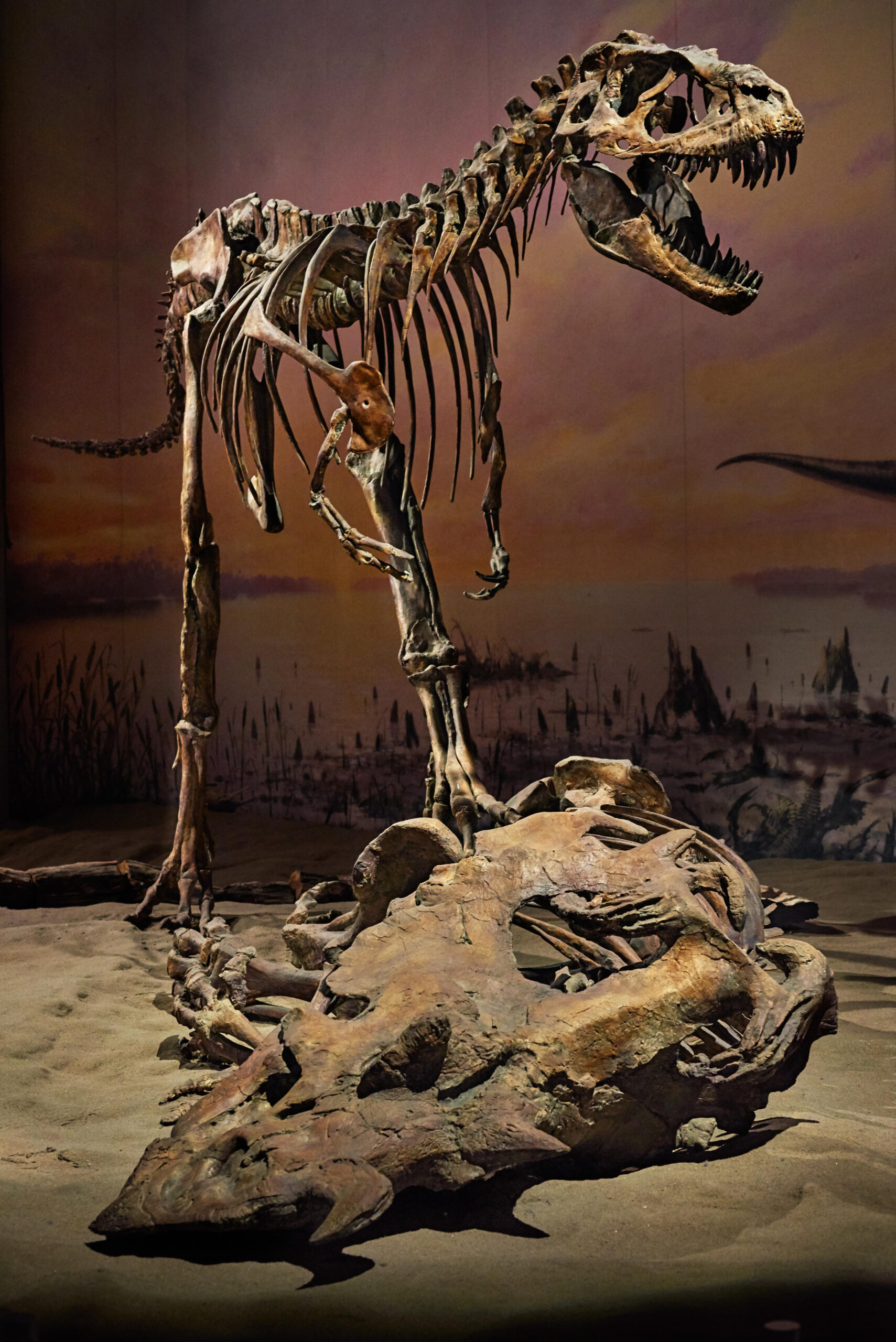 The real Jurassic Park | Bradt Guides