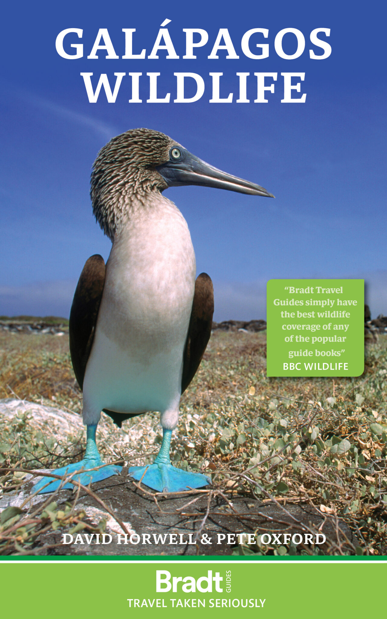 The wildlife of the Galápagos Islands: what you shouldn't miss