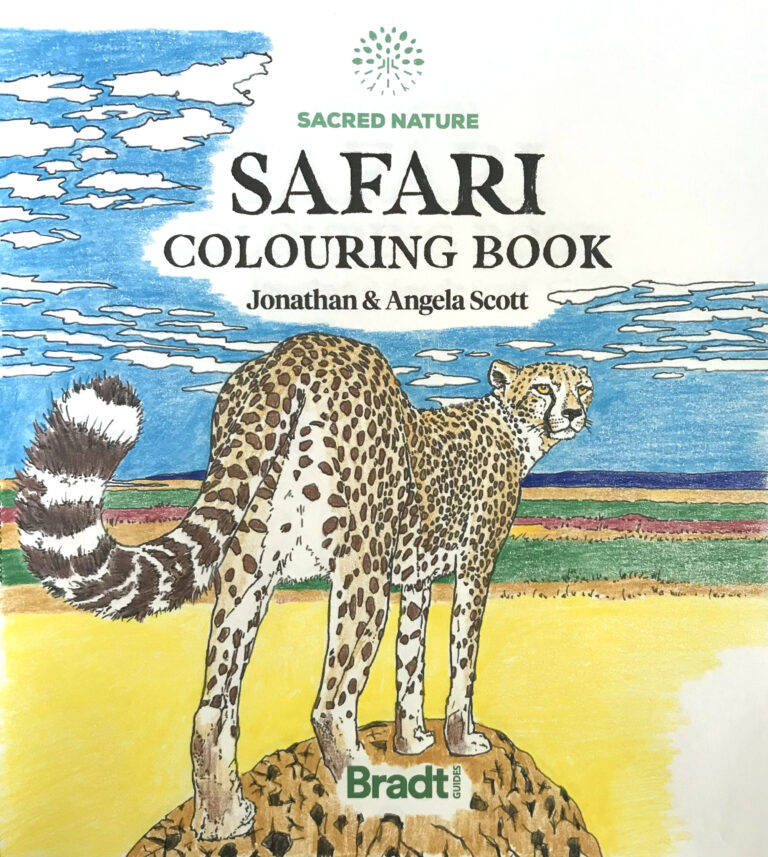Sacred Nature Safari Colouring Book | Bradt Guides