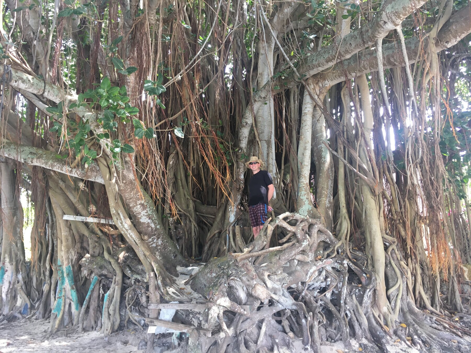 Travelling paradise: two weeks in Mauritius