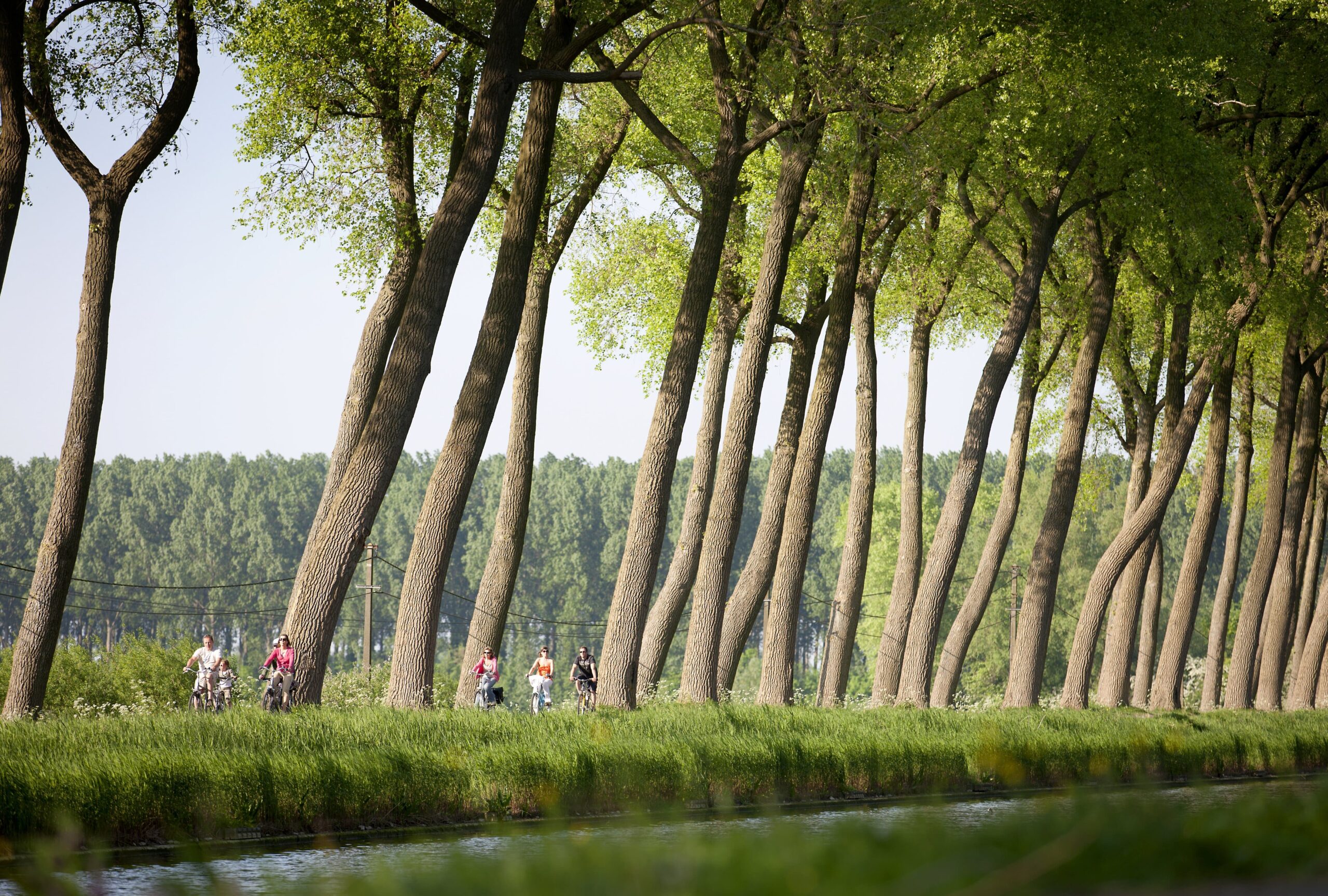 On your bike: exploring the icons of Flanders