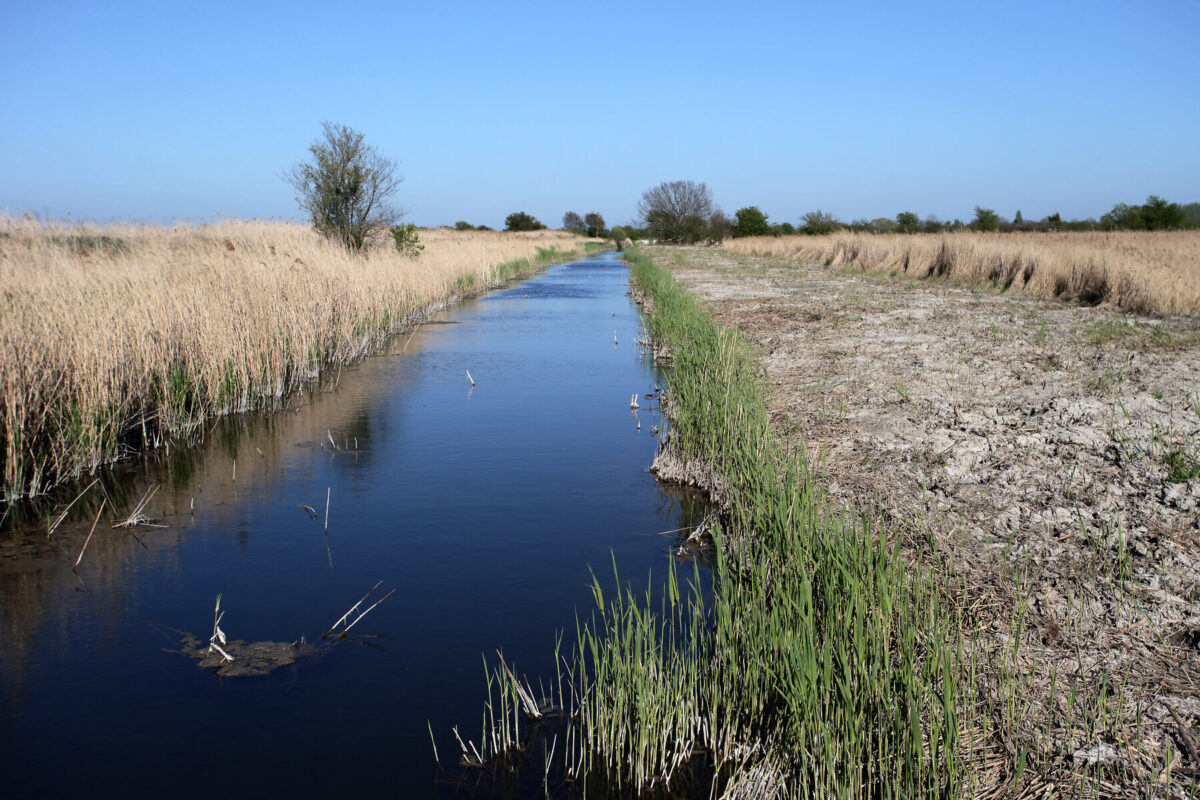 Nature galore: Kent's wild places | Bradt Guides