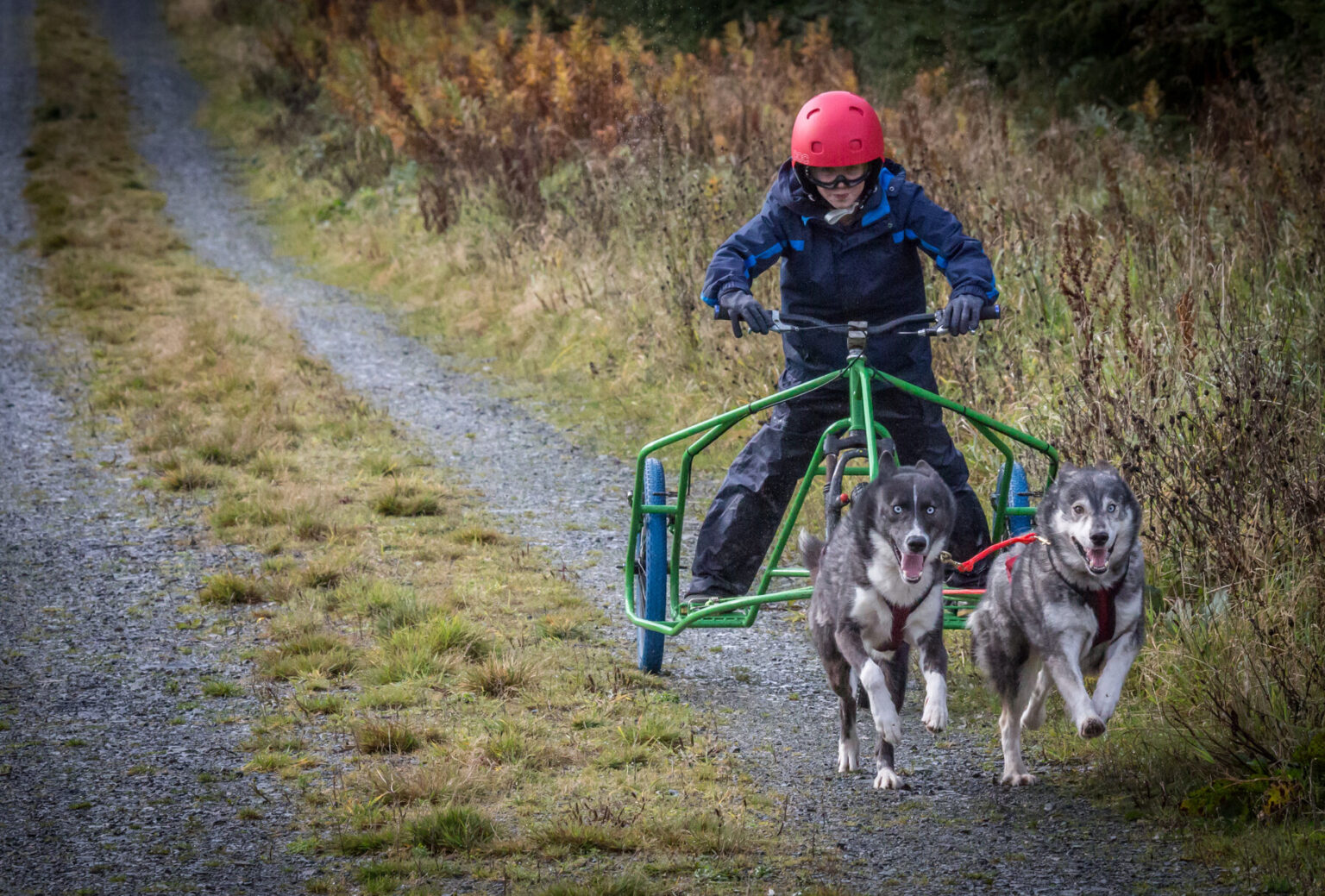 Exploring Wales: a family adventure in Snowdonia