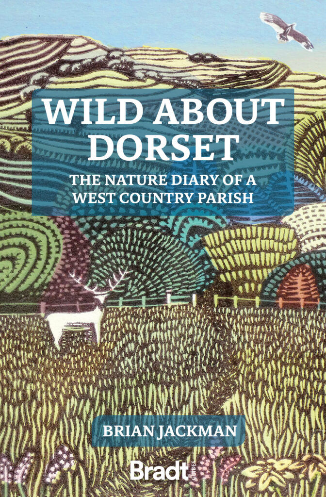 Wild About Dorset | Bradt Guides