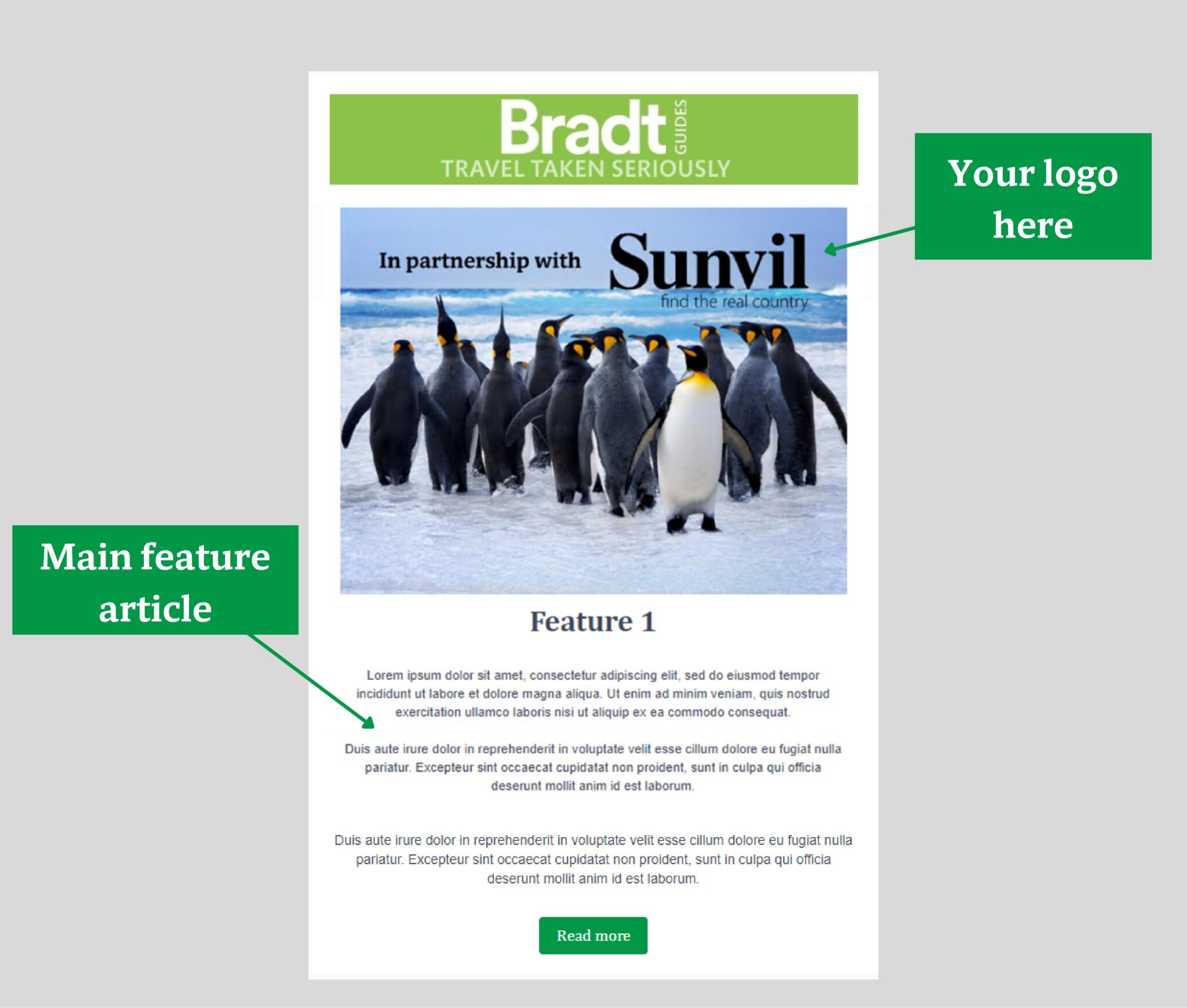 Newsletter partnerships