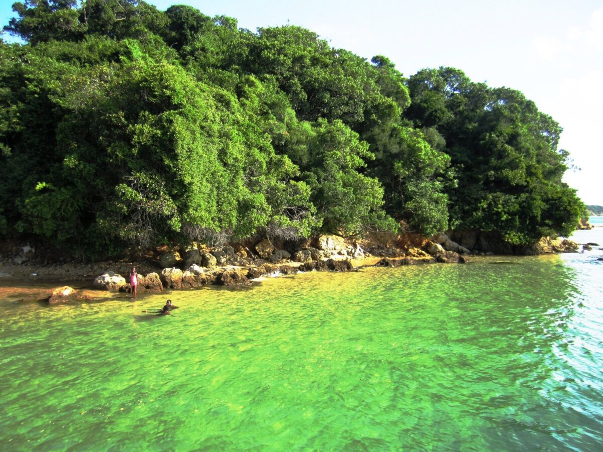 Inhaca Island Travel Information and Guide | Bradt Guides
