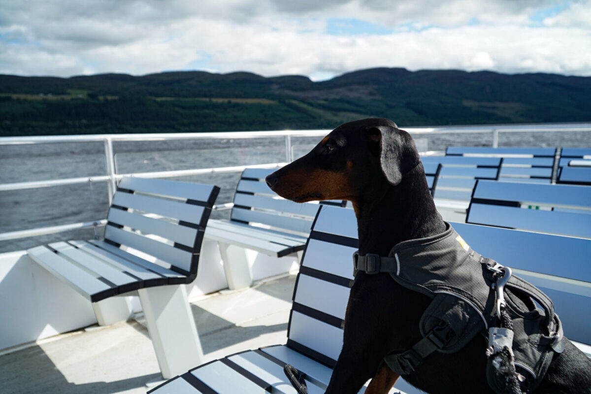 Waterfalls and wild legends: a lochside escape with your dog