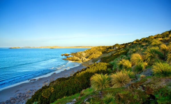 Photography in the Falkland Islands