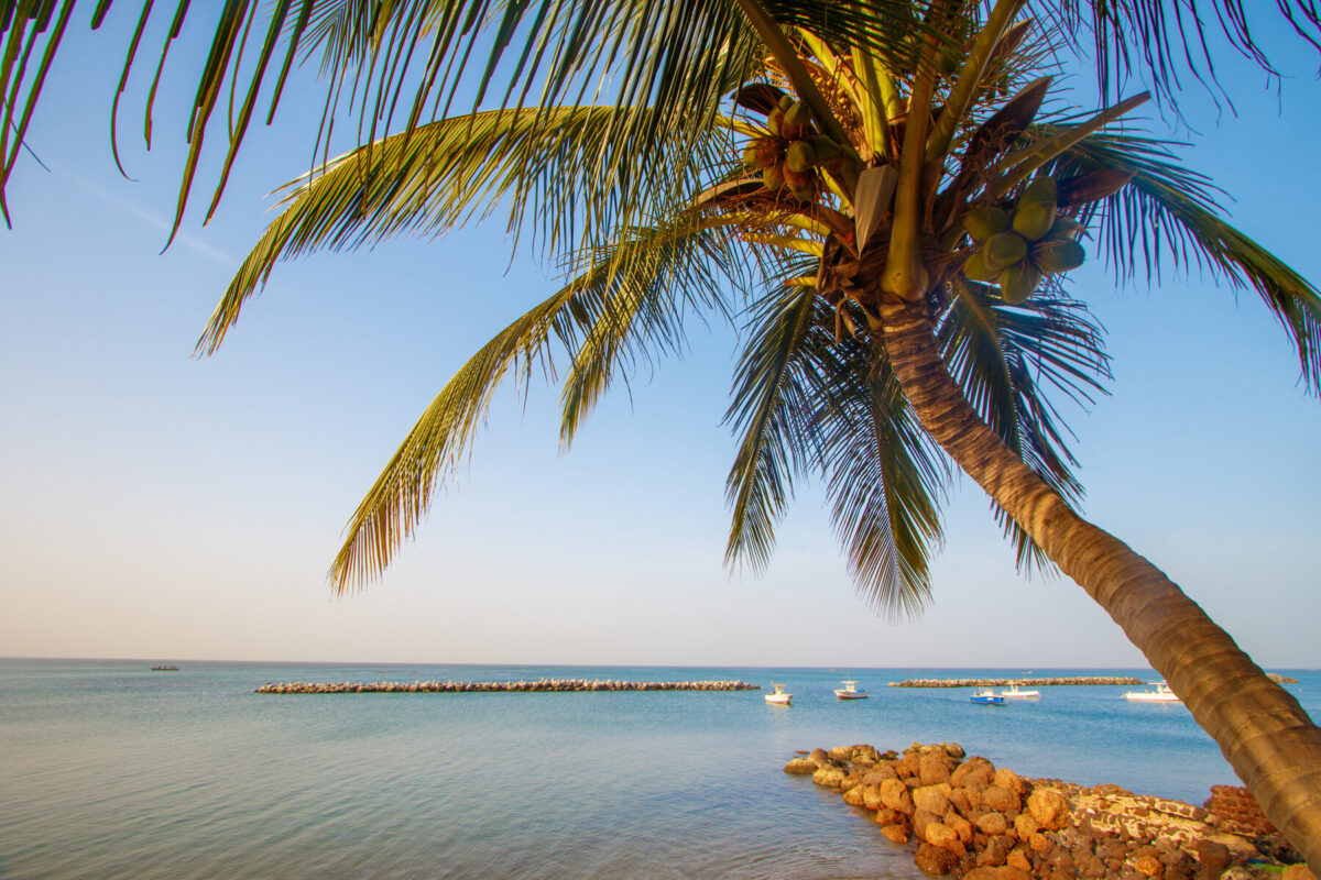 Coastal explorer: two weeks in Senegal | Bradt Guides