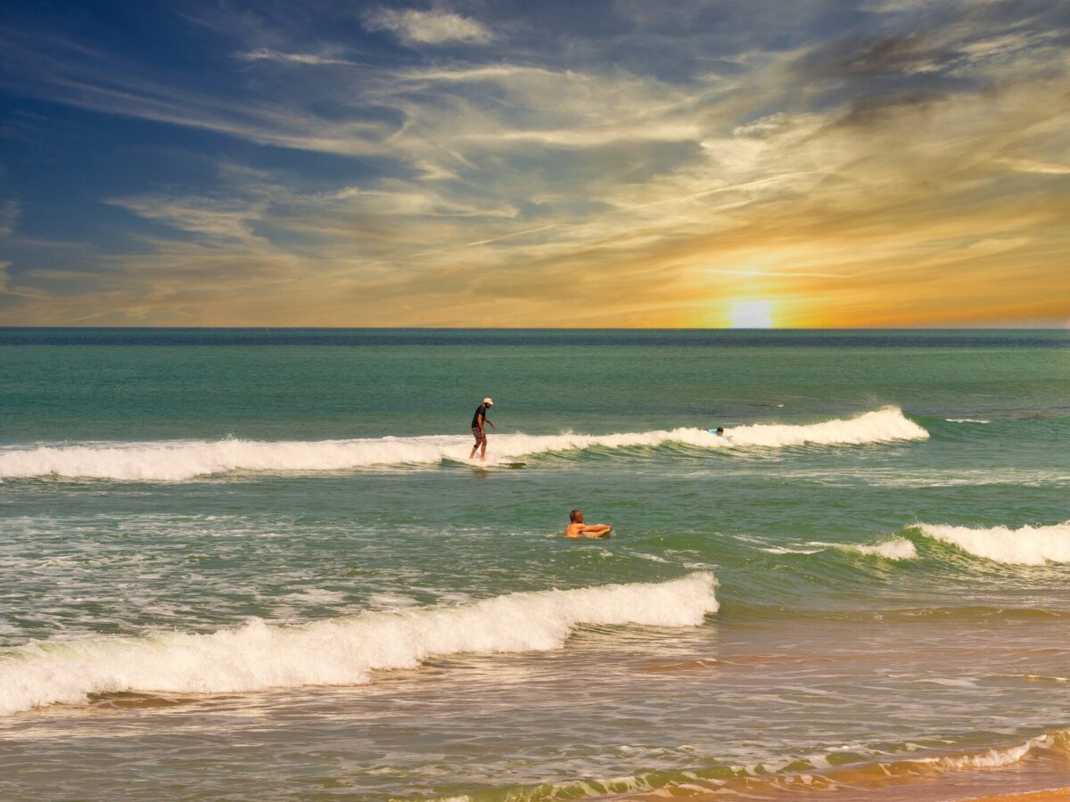 Coastal explorer: two weeks in Senegal | Bradt Guides