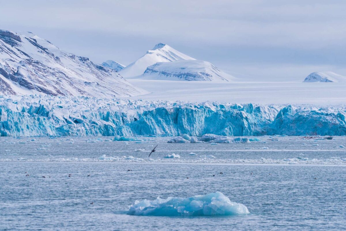 Five great reasons to visit Svalbard | Bradt Guides