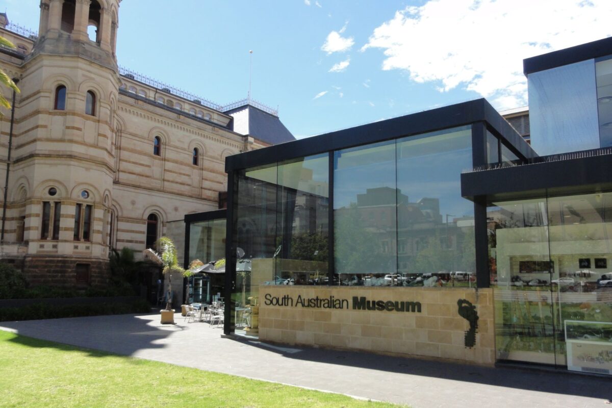 Unusual Things to Do in Adelaide - Your Perfect Guide