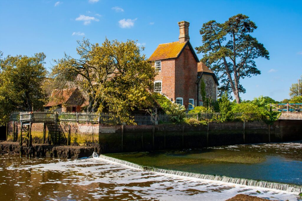 Where to stay in the New Forest