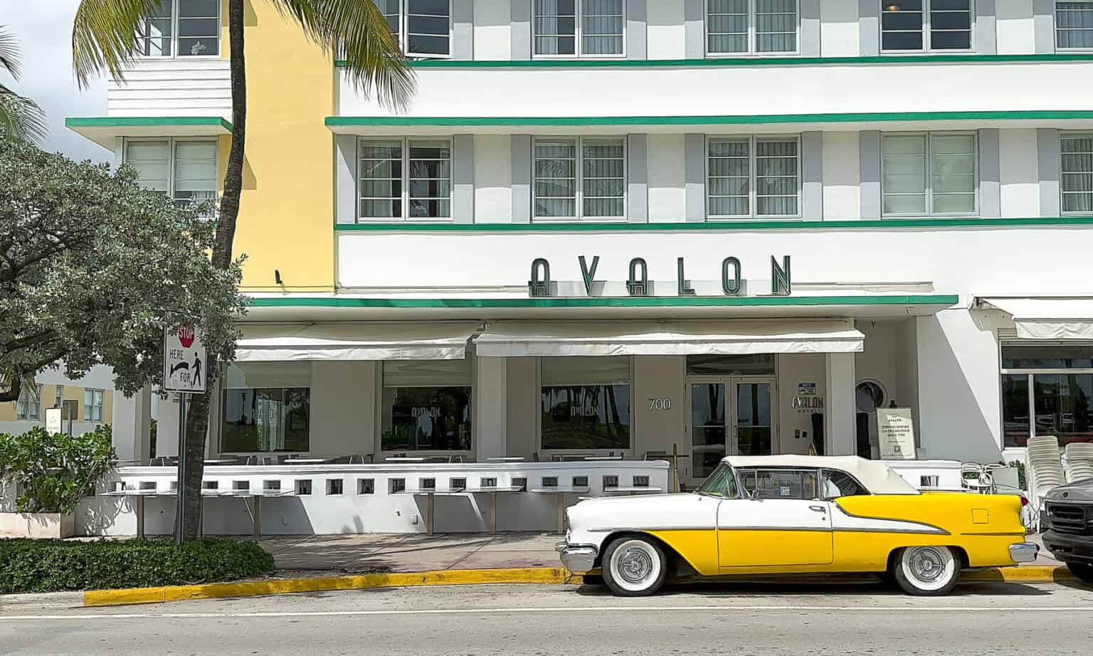 Is Miami Man Made? The Story of the City