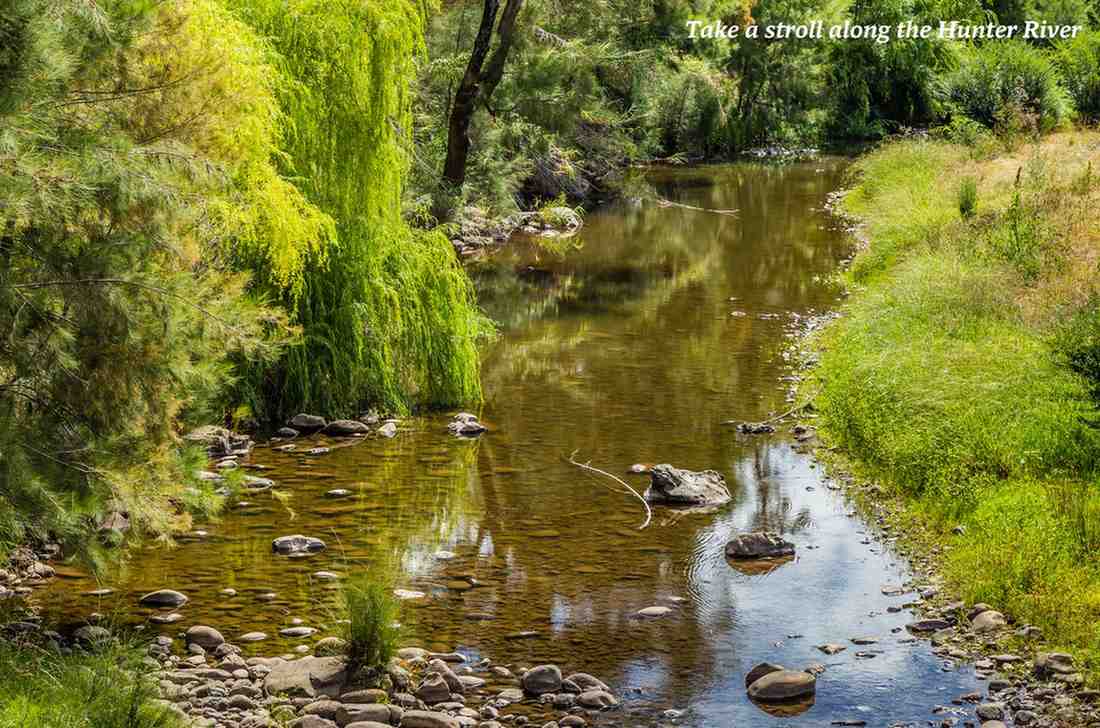 The best things to do in Hunter Valley for You