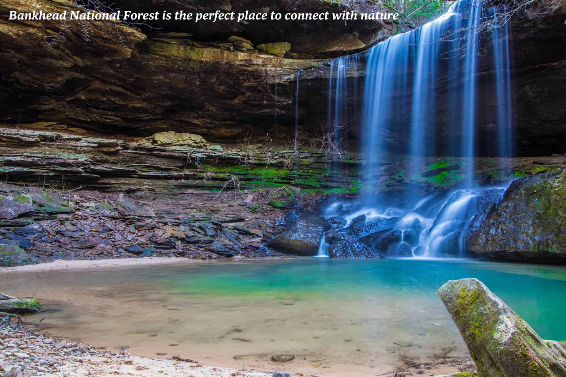 The surprising truth about nature in Alabama