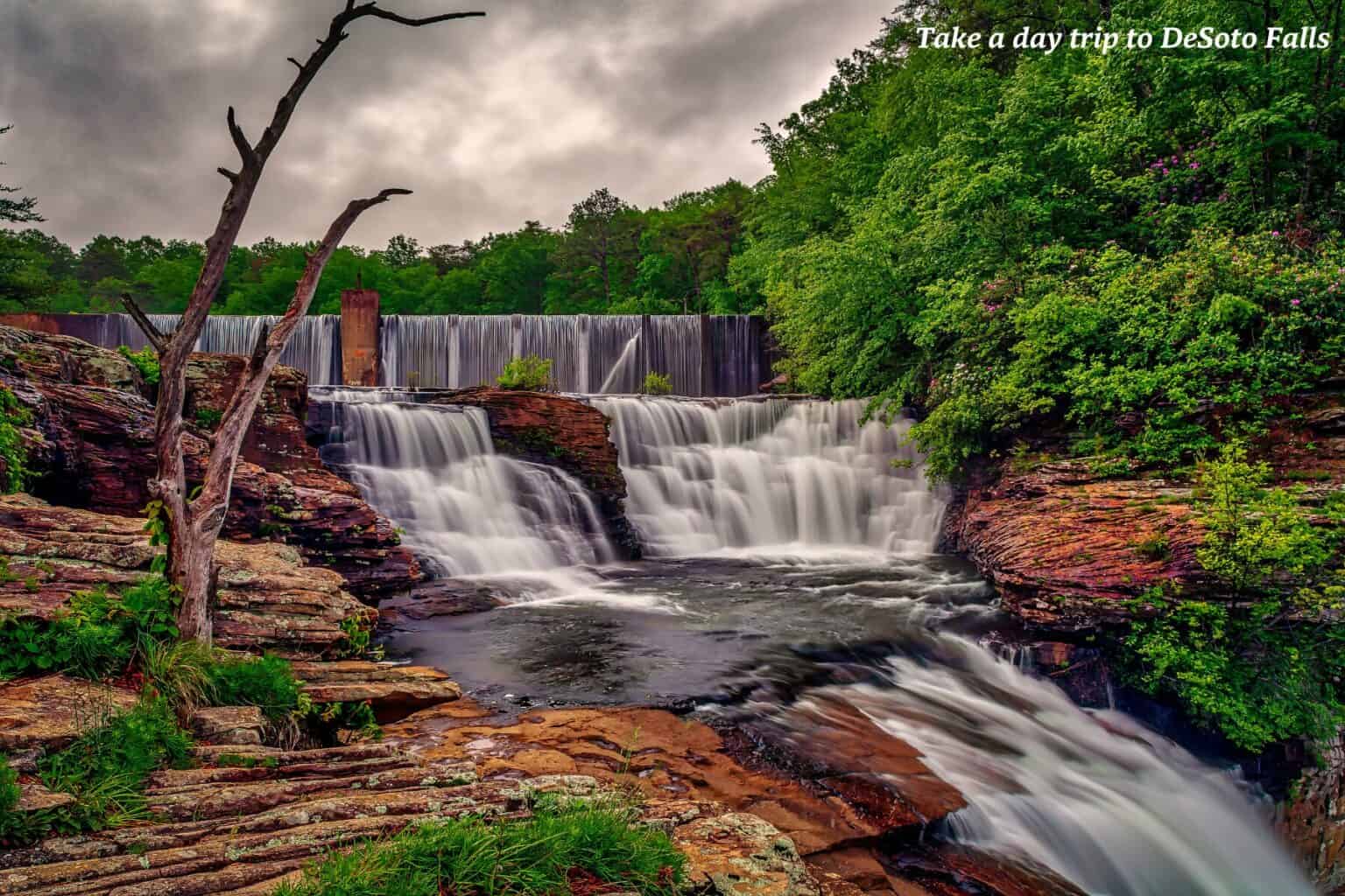 The surprising truth about nature in Alabama
