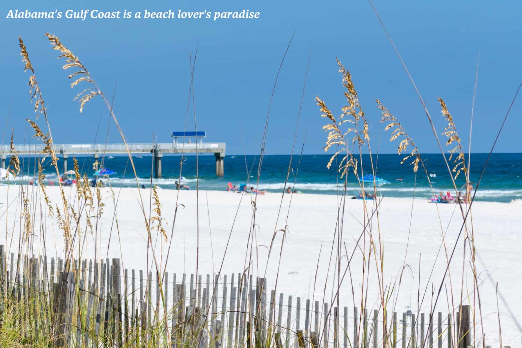 The surprising truth about nature in Alabama