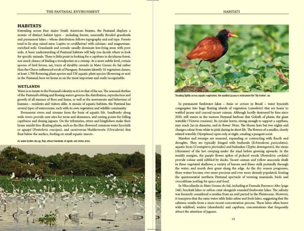 A comprehensive Pantanal wildlife guidebook from Bradt