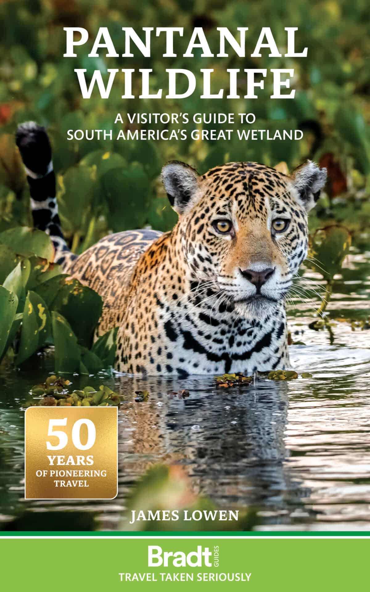 Pantanal Wildlife (ebook) | Bradt Guides