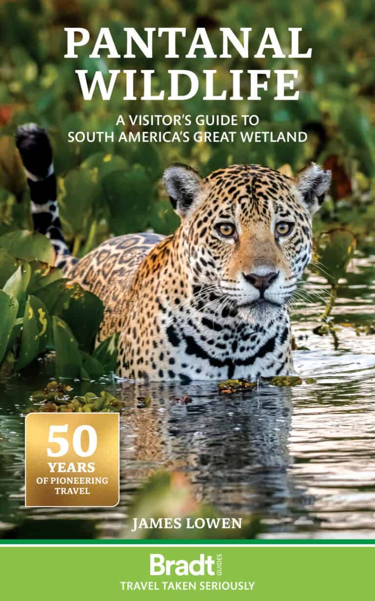 Wildlife Guidebooks Archives | Bradt Guides