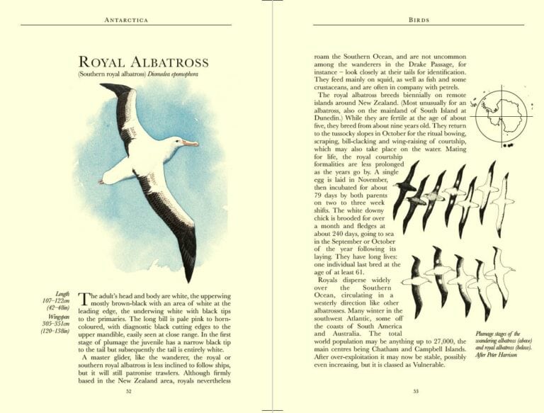 The Best Antarctica Guidebook from Leading Publisher Bradt